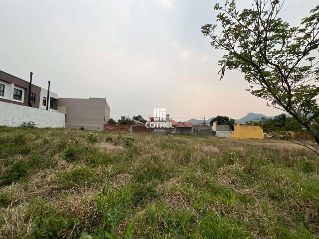 Terreno / Lote para Venda em Santa Maria/RS Camobi