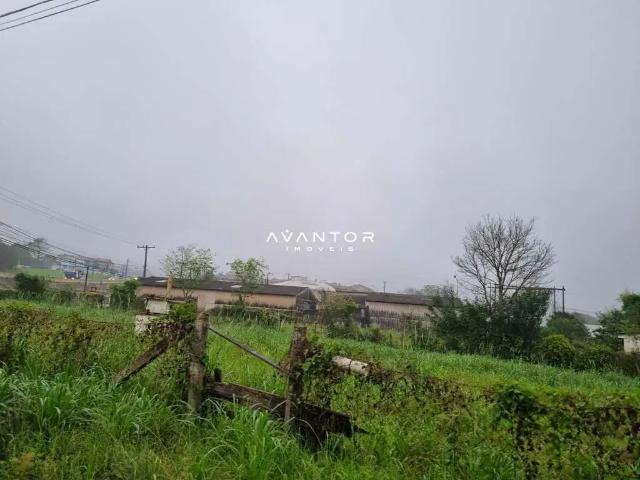 Terreno / Lote para Venda em Santa Maria/RS Camobi