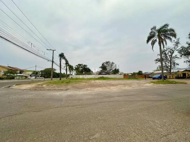 Terreno / Lote para Venda em Santa Maria/RS Camobi