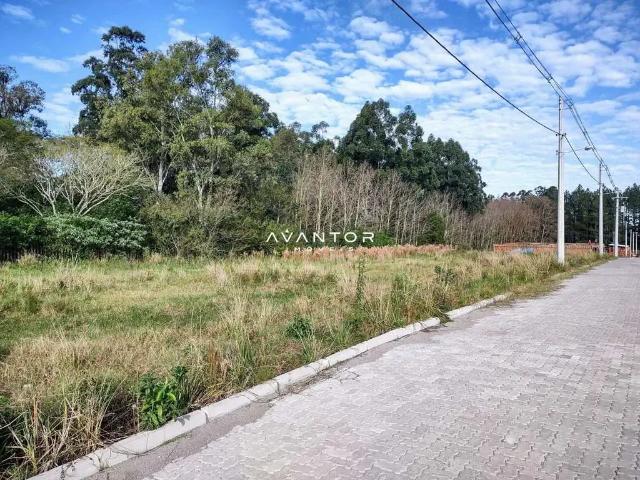 Terreno / Lote para Venda em Santa Maria/RS Camobi