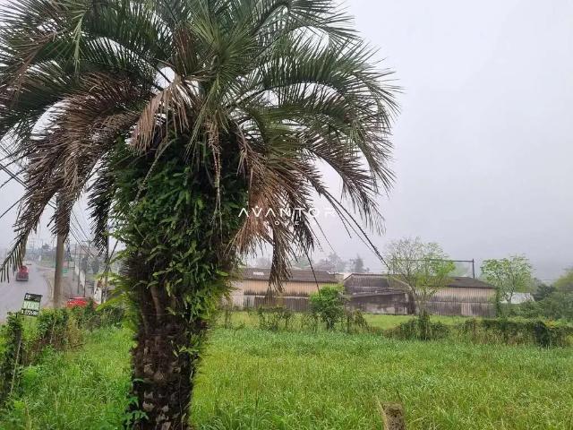 Terreno / Lote para Venda em Santa Maria/RS Camobi