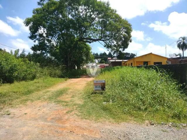Terreno / Lote para Venda em Santa Maria/RS Camobi