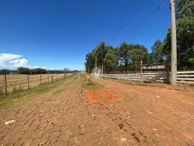 Terreno / Lote para Venda em Santa Maria/RS Camobi