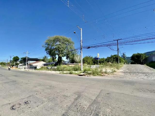 Terreno / Lote para Venda em Santa Maria/RS Camobi