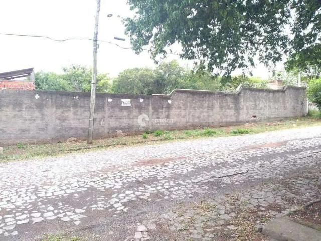 Terreno / Lote para Venda em Santa Maria/RS Camobi