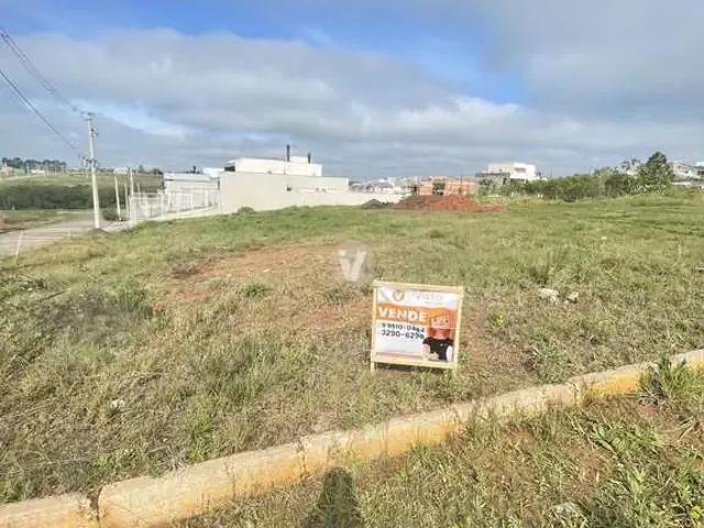 Terreno / Lote para Venda em Santa Maria/RS Camobi