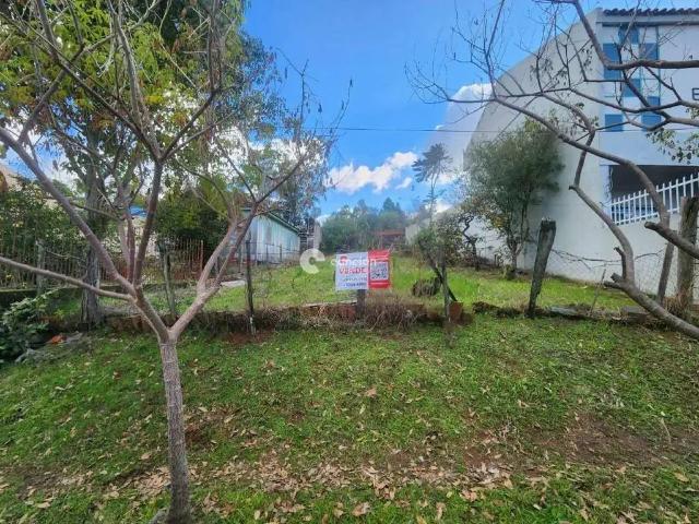 Terreno / Lote para Venda em Santa Maria/RS Camobi
