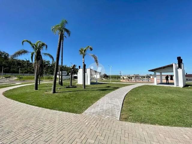 Terreno / Lote para Venda em Santa Maria/RS Camobi