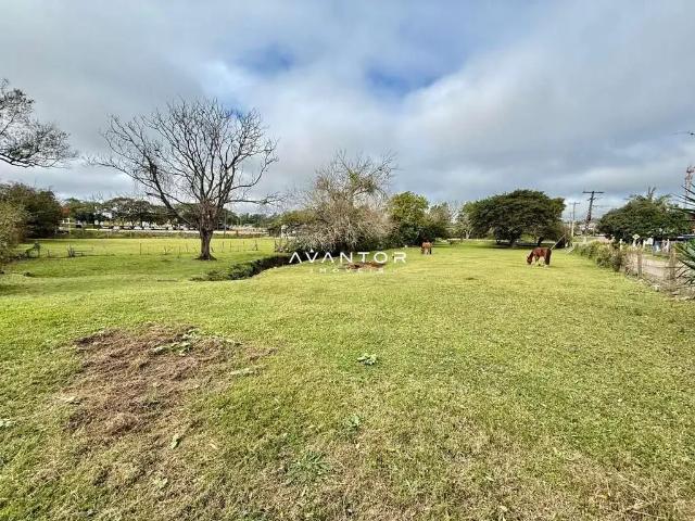 Terreno / Lote para Venda em Santa Maria/RS Camobi
