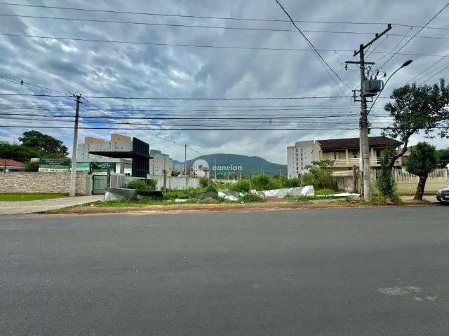 Terreno / Lote para Venda em Santa Maria/RS Camobi
