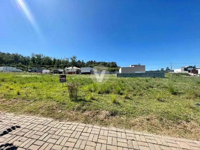 Terreno / Lote para Venda em Santa Maria/RS Camobi