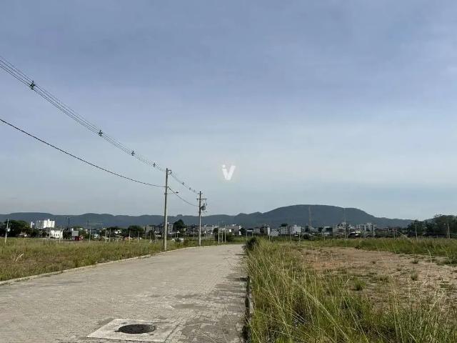 Terreno / Lote para Venda em Santa Maria/RS Camobi