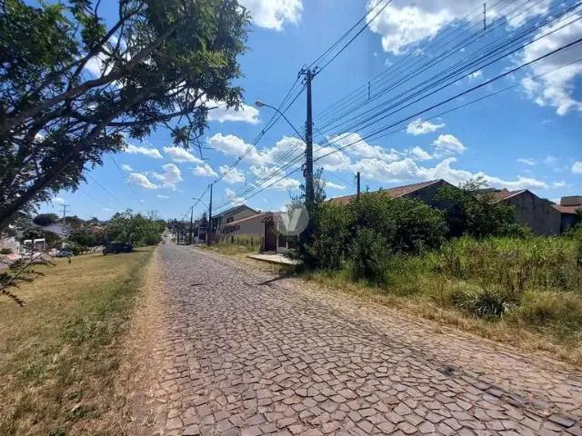 Terreno / Lote para Venda em Santa Maria/RS Camobi