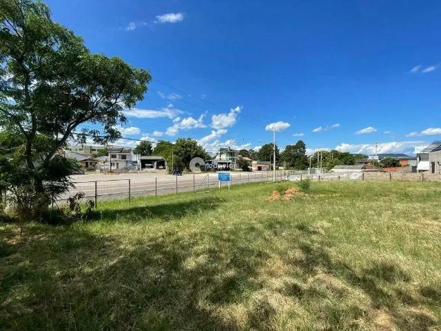 Terreno / Lote para Venda em Santa Maria/RS Camobi