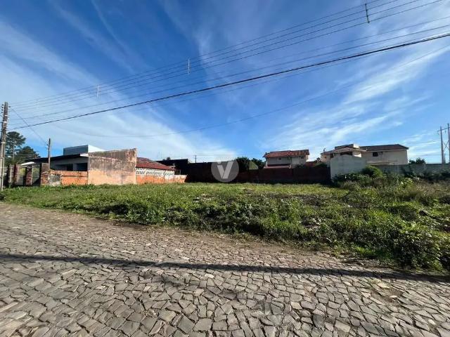 Terreno / Lote para Venda em Santa Maria/RS Camobi