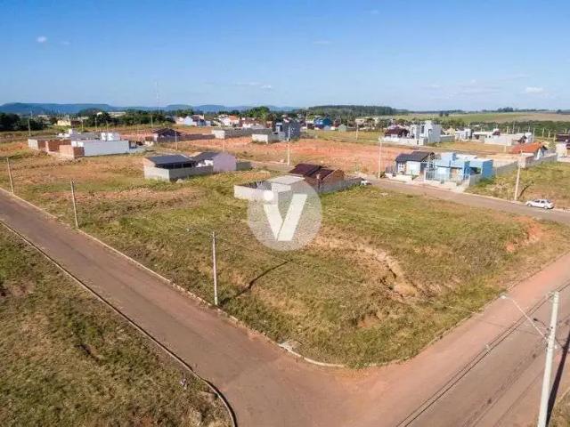 Terreno / Lote para Venda em Santa Maria/RS Camobi