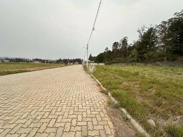 Terreno / Lote para Venda em Santa Maria/RS Camobi