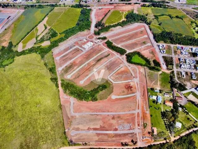 Terreno / Lote para Venda em Santa Maria/RS Camobi