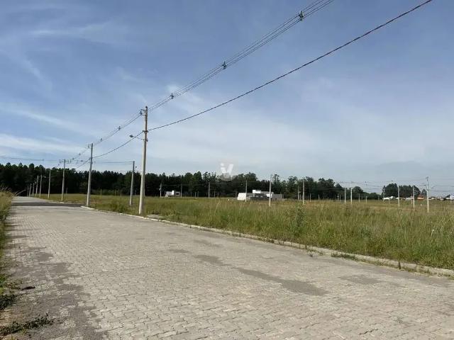 Terreno / Lote para Venda em Santa Maria/RS Camobi