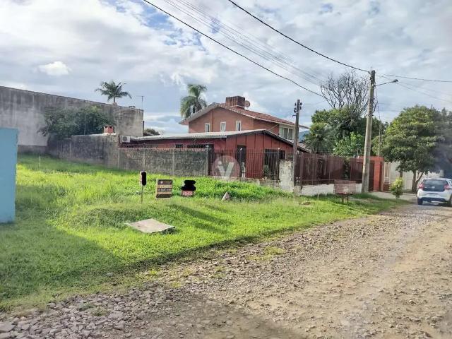 Terreno / Lote para Venda em Santa Maria/RS Camobi