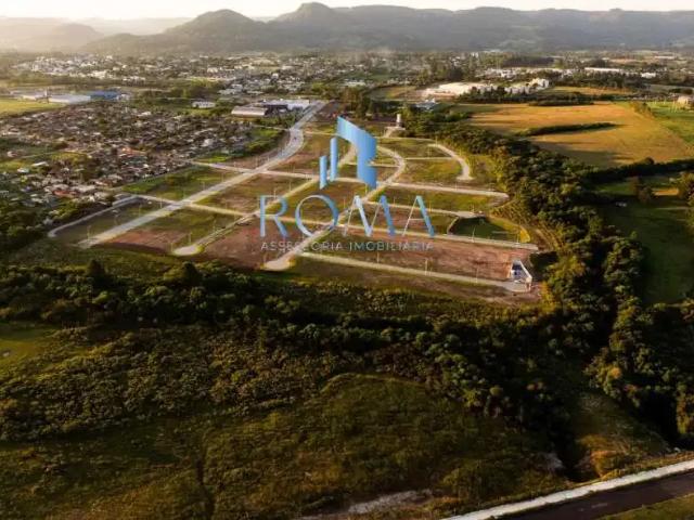 Terreno / Lote para Venda em Santa Maria/RS Camobi