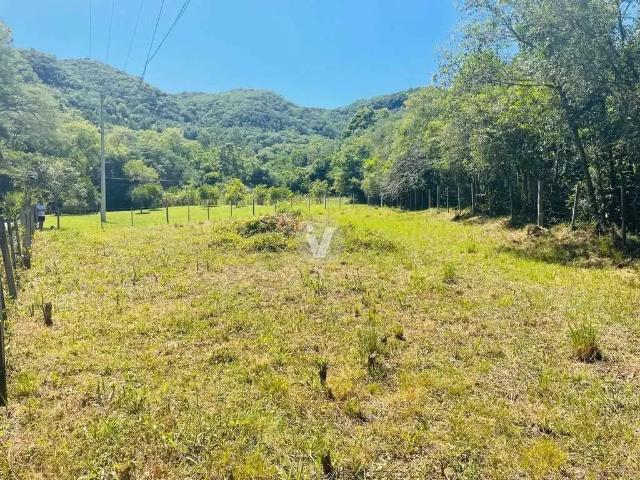 Terreno / Lote para Venda em Santa Maria/RS Campestre do Menino Deus