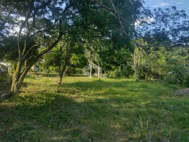 Terreno / Lote para Venda em Santa Maria/RS Caturrita