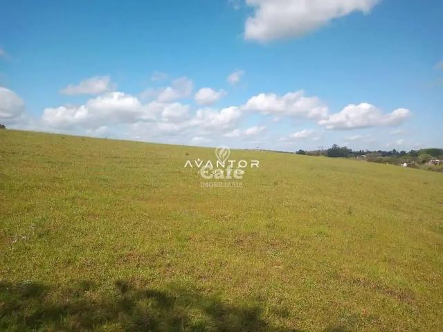 Terreno / Lote para Venda em Santa Maria/RS Caturrita