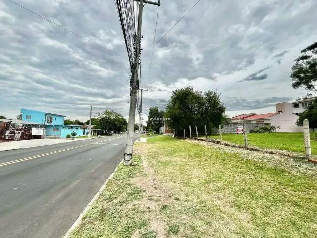Terreno / Lote para Venda em Santa Maria/RS Centro