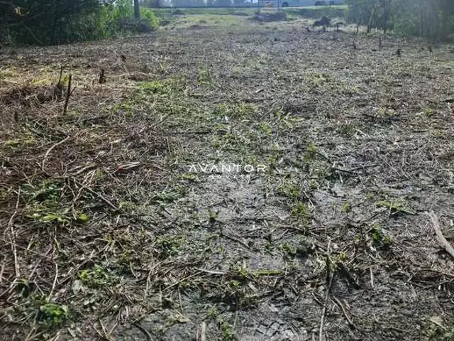 Terreno / Lote para Venda em Santa Maria/RS Cerrito