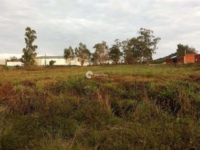 Terreno / Lote para Venda em Santa Maria/RS Cerrito