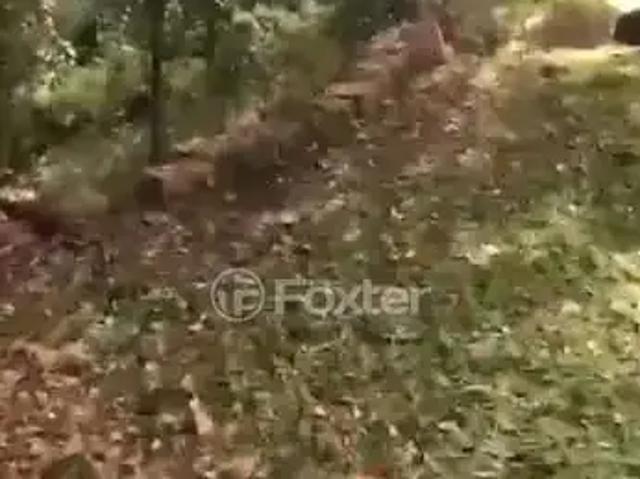Terreno / Lote para Venda em Santa Maria/RS Cerrito