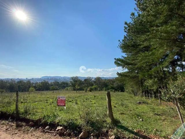 Terreno / Lote para Venda em Santa Maria/RS Cerrito