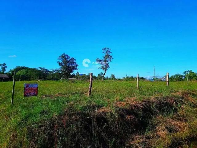 Terreno / Lote para Venda em Santa Maria/RS Cerrito
