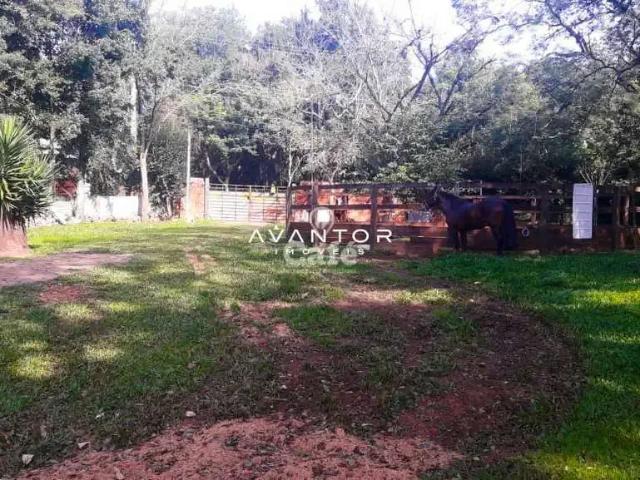 Terreno / Lote para Venda em Santa Maria/RS Cerrito