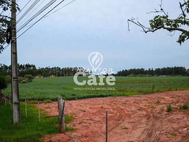 Terreno / Lote para Venda em Santa Maria/RS Cerrito
