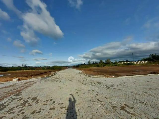 Terreno / Lote para Venda em Santa Maria/RS Cerrito