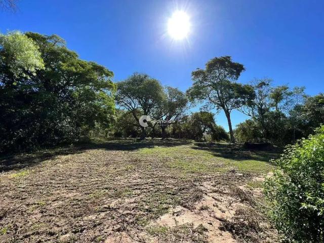 Terreno / Lote para Venda em Santa Maria/RS Cerrito