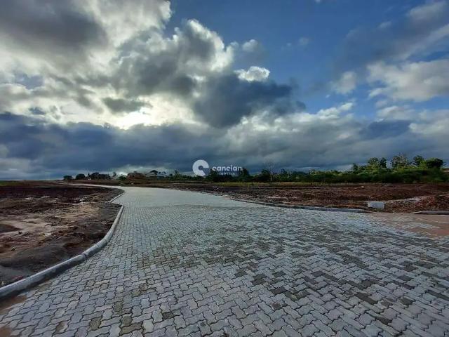 Terreno / Lote para Venda em Santa Maria/RS Cerrito