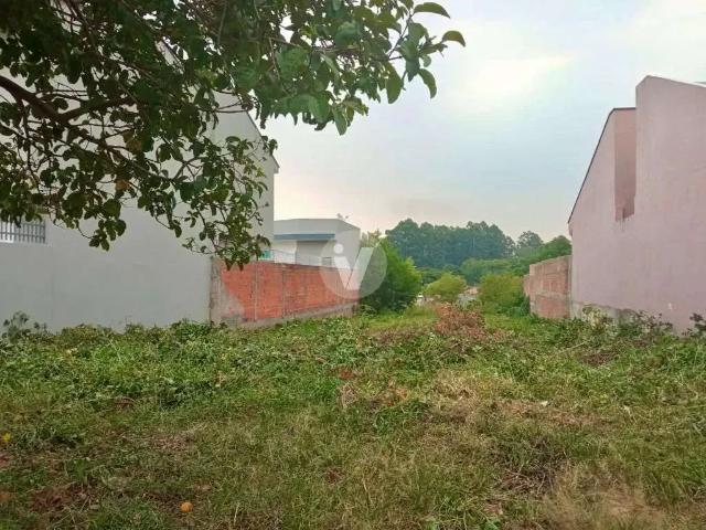 Terreno / Lote para Venda em Santa Maria/RS Chácara das Flores