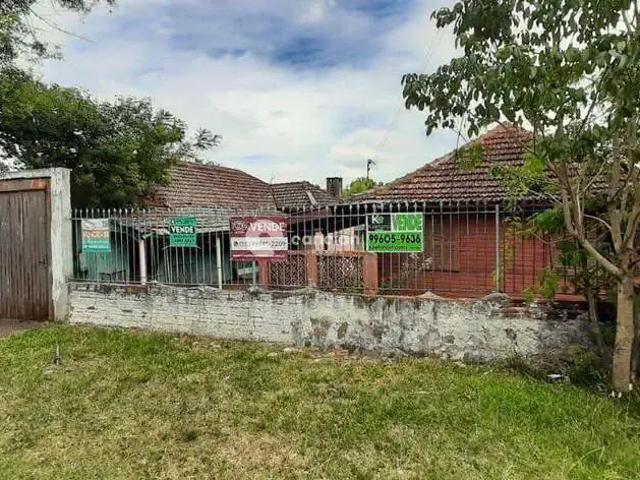 Terreno / Lote para Venda em Santa Maria/RS Divina Providência