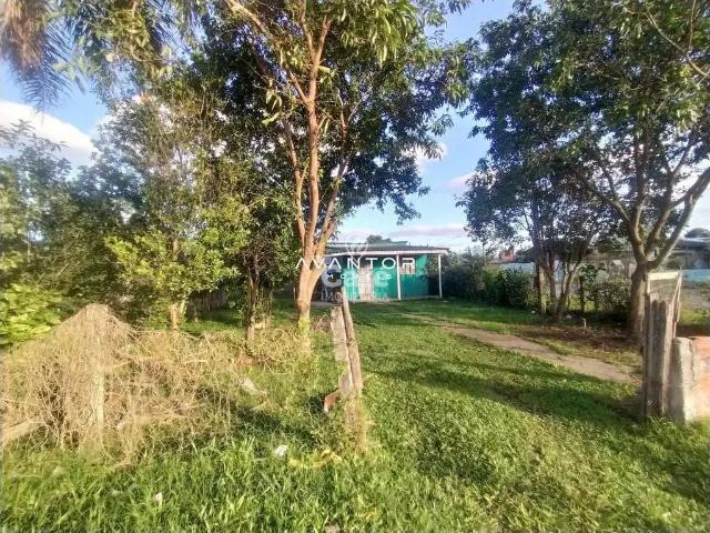 Terreno / Lote para Venda em Santa Maria/RS Divina Providência