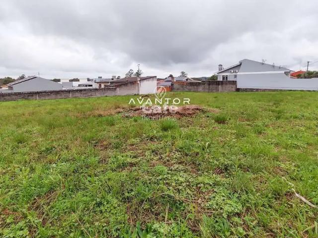 Terreno / Lote para Venda em Santa Maria/RS Dom Antônio Reis