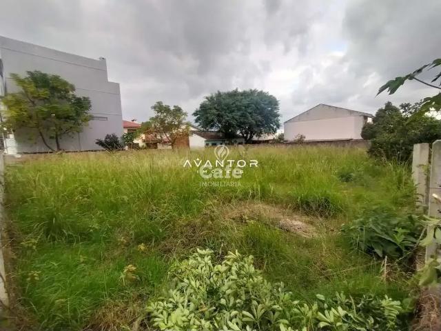 Terreno / Lote para Venda em Santa Maria/RS Dom Antônio Reis