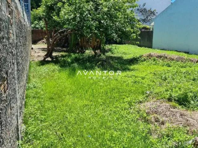 Terreno / Lote para Venda em Santa Maria/RS Dom Antônio Reis
