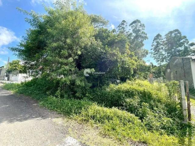 Terreno / Lote para Venda em Santa Maria/RS Dom Antônio Reis