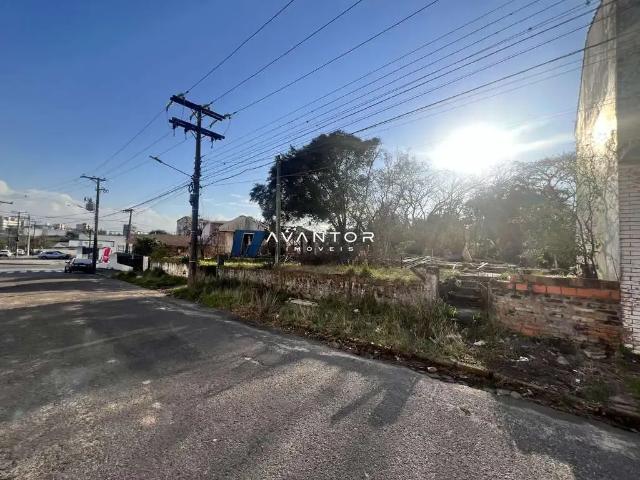 Terreno / Lote para Venda em Santa Maria/RS Itararé