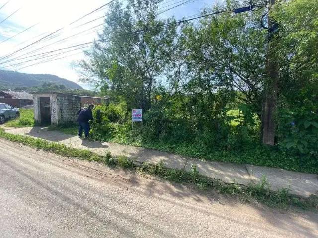 Terreno / Lote para Venda em Santa Maria/RS Itararé