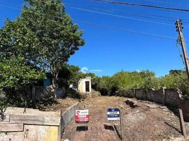 Terreno / Lote para Venda em Santa Maria/RS Itararé
