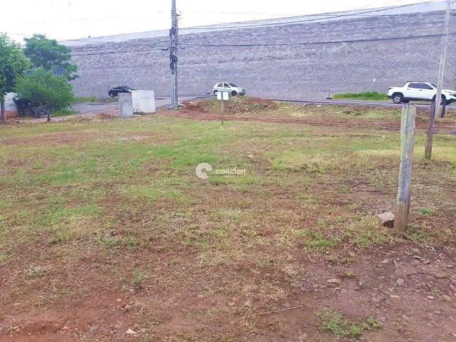 Terreno / Lote para Venda em Santa Maria/RS km 3